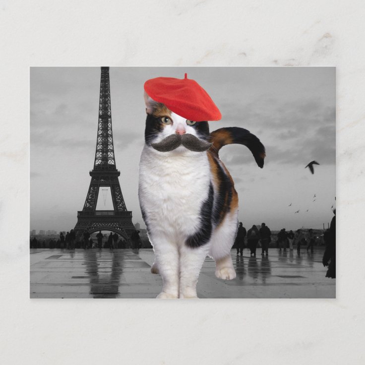 French Cat in Paris Postcard | Zazzle