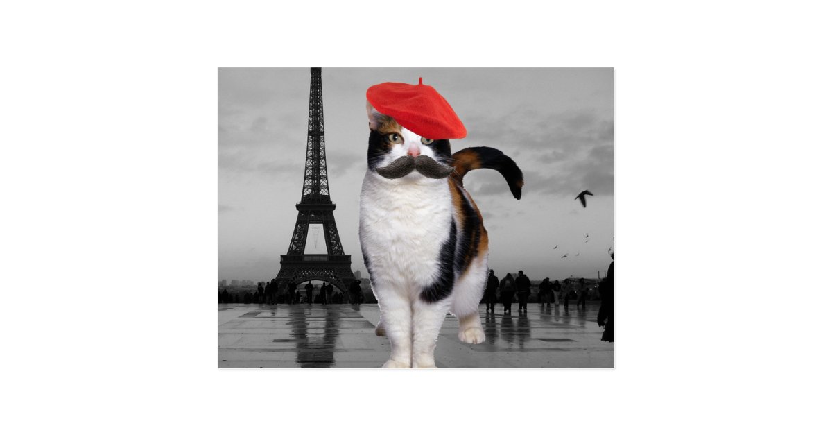 French Cat in Paris Postcard | Zazzle.com
