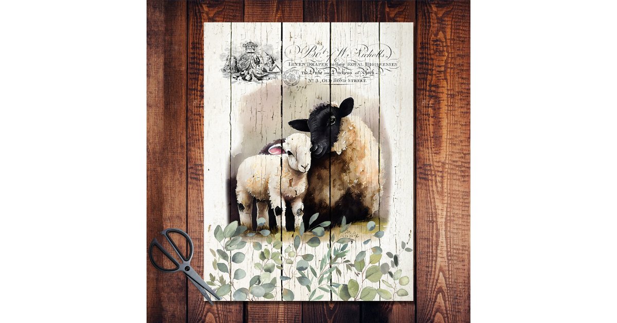 French Country Botanical Suffolk Sheep Tissue Paper | Zazzle