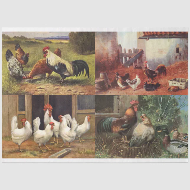 French Country Farmhouse Roosters Quad 1 Decoupage Tissue Paper | Zazzle