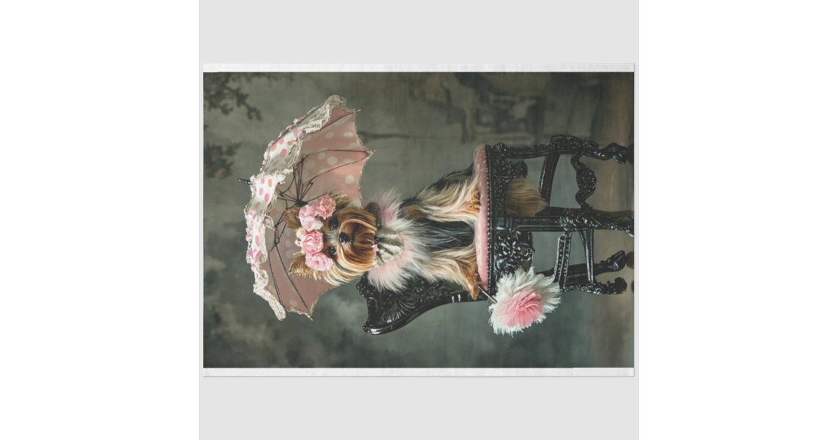 French Duchess Yorkshire Terrier Decoupage Tissue Paper | Zazzle