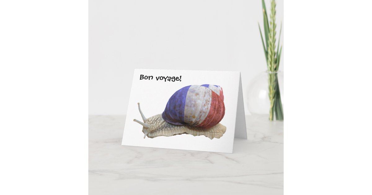 French flag snail card | Zazzle