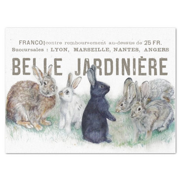 French Garden Vintage Bunny Rabbit Decoupage Tissue Paper | Zazzle