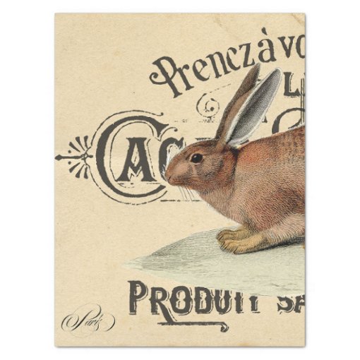 French Lapin de Cacao Brown Bunny Rabbit Decoupage Tissue Paper | Zazzle