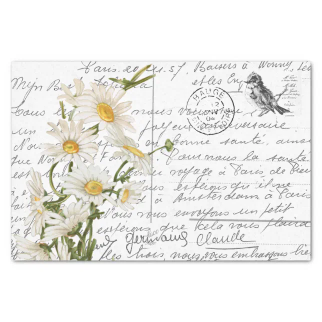French Script Vintage Daisy Flower Bird Postcard Tissue Paper | Zazzle