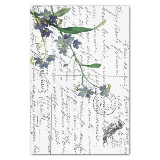 French Script Vintage Forget Me Not Bird Postcard Tissue Paper | Zazzle