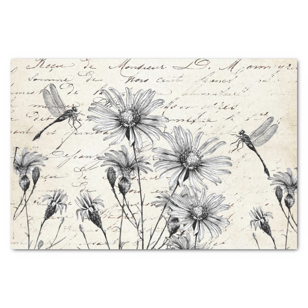 French Script Wildflower Dragonfly Decoupage Craft Tissue Paper | Zazzle