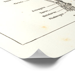 French Skeleton Anatomy Vintage Chart 1800's | Zazzle