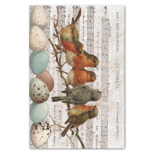 French Vintage Sheet Music Birds Eggs Decoupage | Zazzle