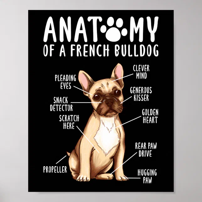 Frenchie Anatomy Of A French Bulldog Mom Dad Poster | Zazzle