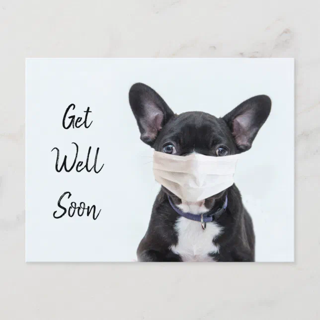 Frenchie in face mask get well postcard | Zazzle