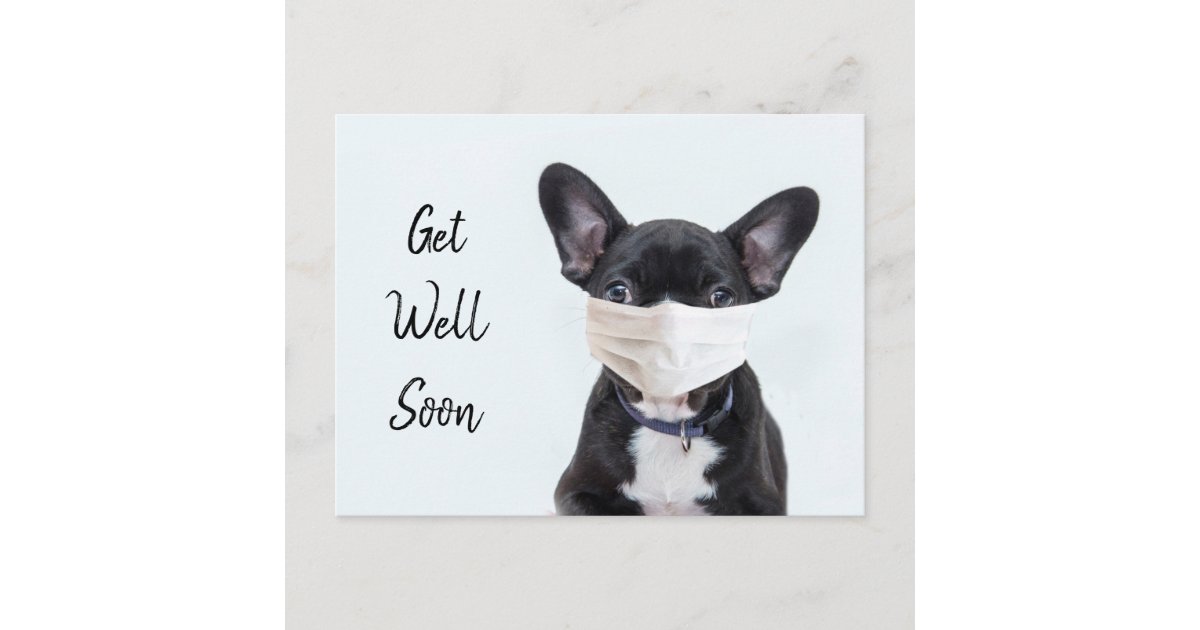 Frenchie in face mask get well postcard | Zazzle