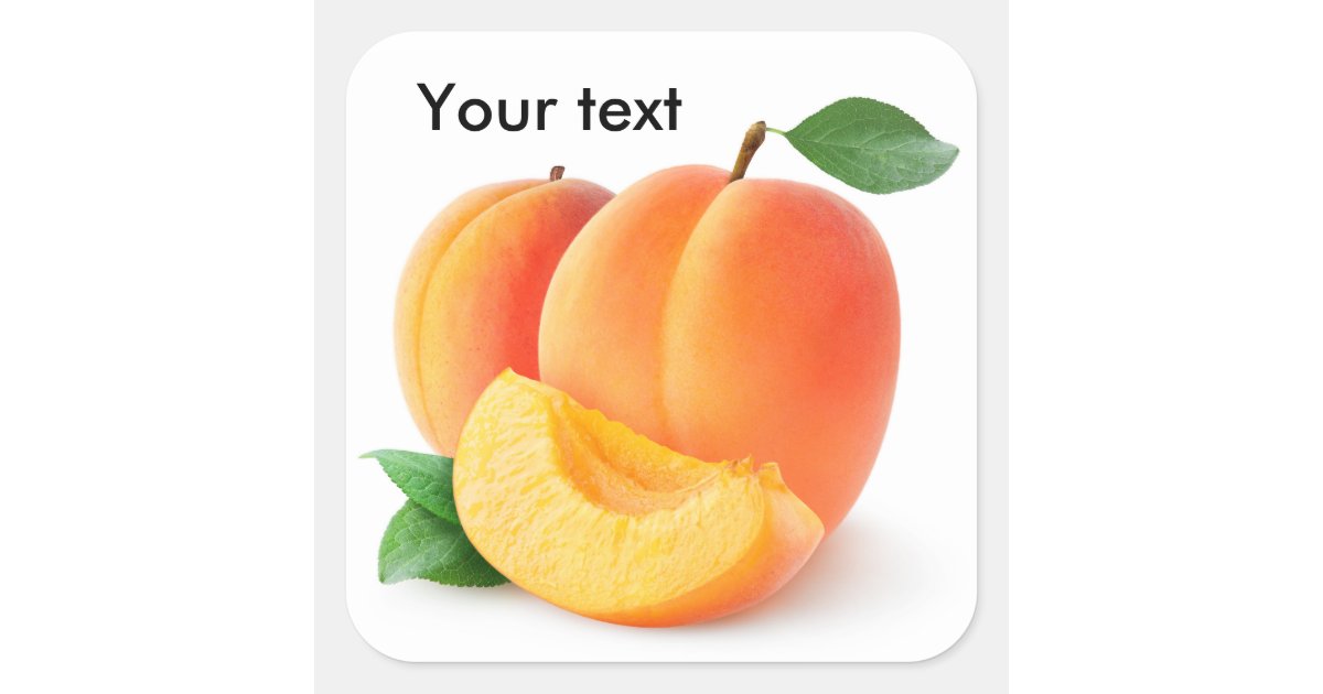 Fresh apricots square sticker | Zazzle