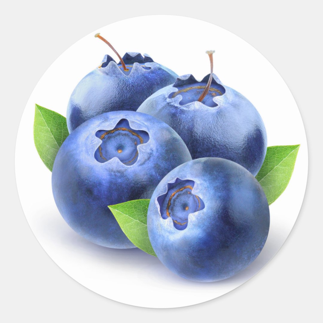 Fresh blueberries classic round sticker | Zazzle
