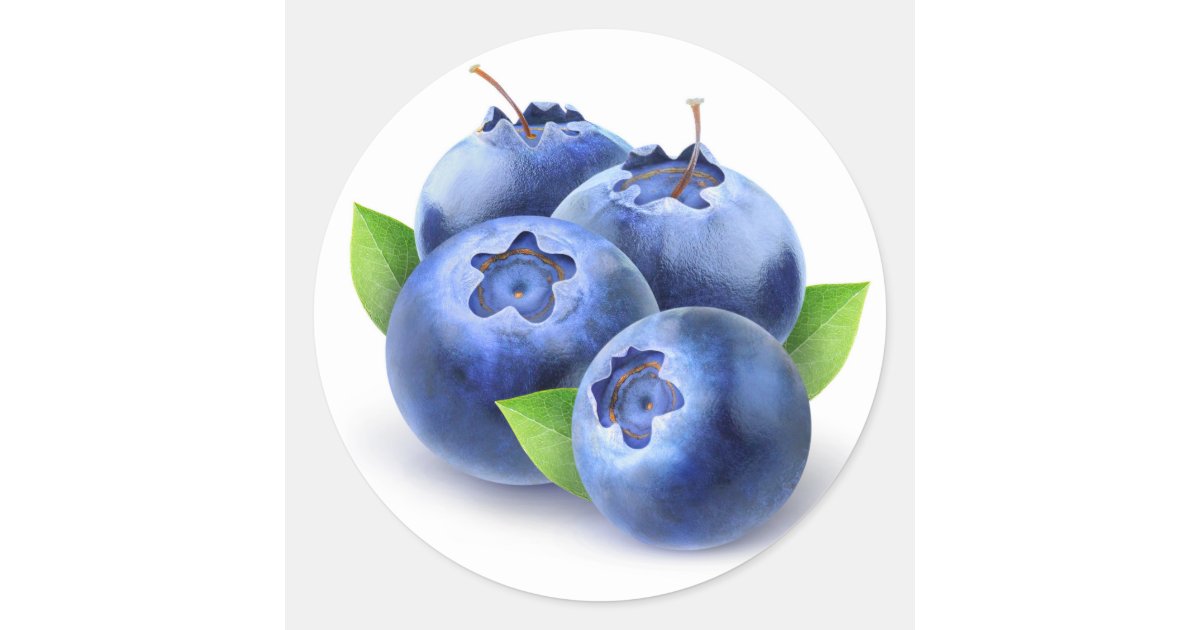 Fresh blueberries classic round sticker | Zazzle