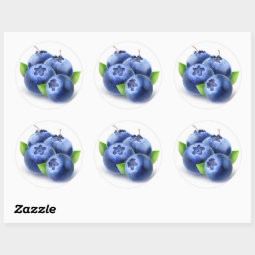 Fresh blueberries classic round sticker | Zazzle