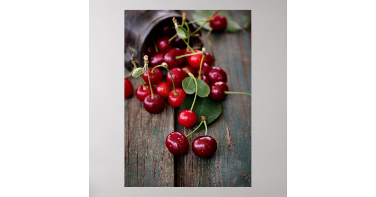 Fresh Cherries Poster | Zazzle