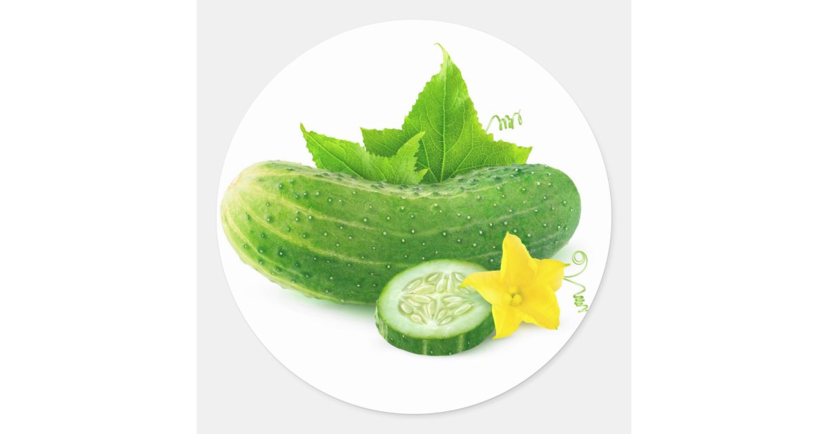 Fresh cucumber classic round sticker | Zazzle