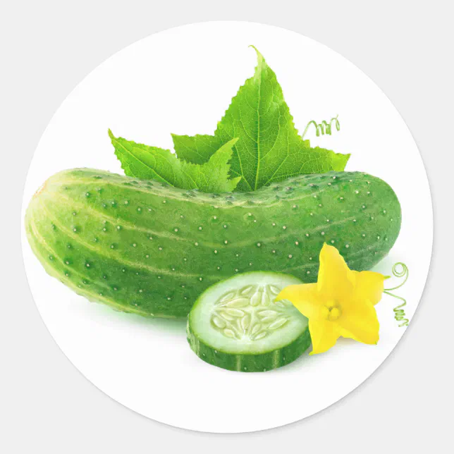 Fresh cucumber classic round sticker | Zazzle