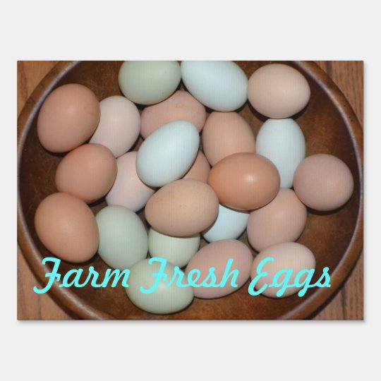 Fresh Egg Sign | Zazzle.com