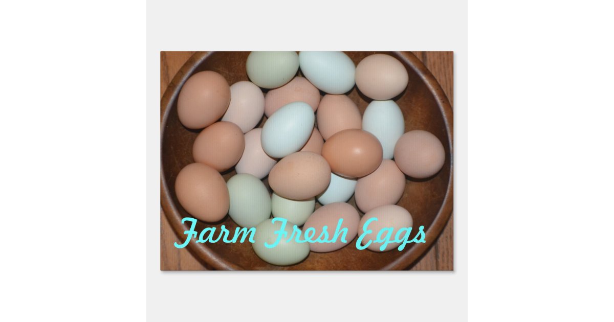 Fresh Egg Sign | Zazzle