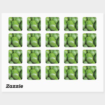 Fresh green avocados fruit square sticker | Zazzle