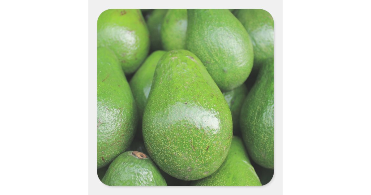 Fresh green avocados fruit square sticker | Zazzle