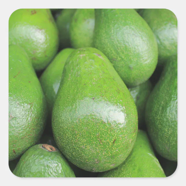 Fresh green avocados fruit square sticker | Zazzle