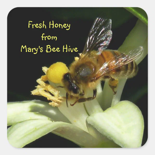 Fresh Honey Bee Hive Square Labels | Zazzle