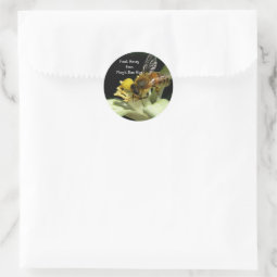 Fresh Honey Bee Hive Sticker Labels | Zazzle