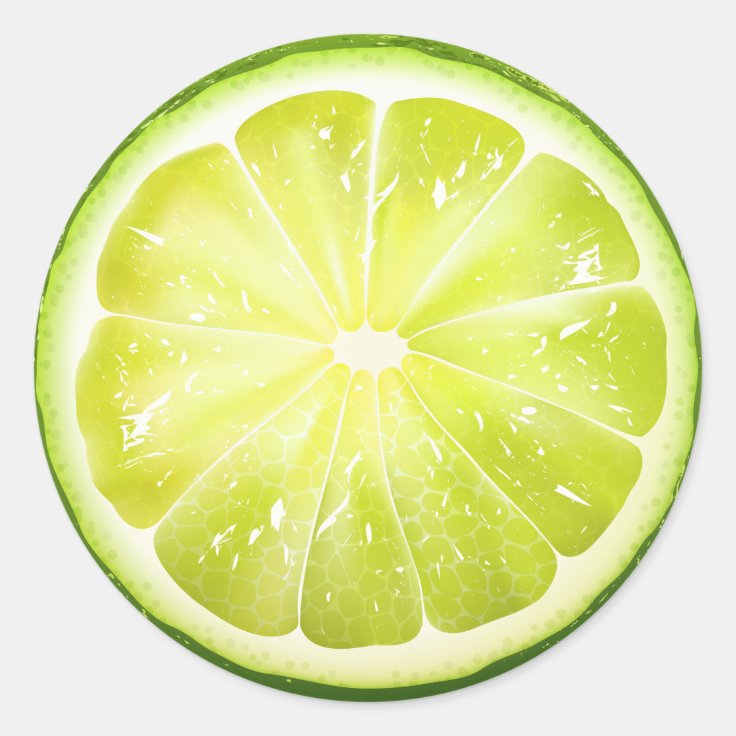 Fresh Lime Slice S01 Classic Round Sticker | Zazzle