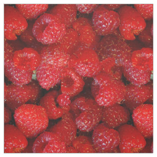 Raspberry Fabric | Zazzle