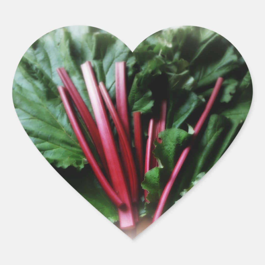 Fresh Rhubarb Stalks and Leaves Heart Sticker | Zazzle