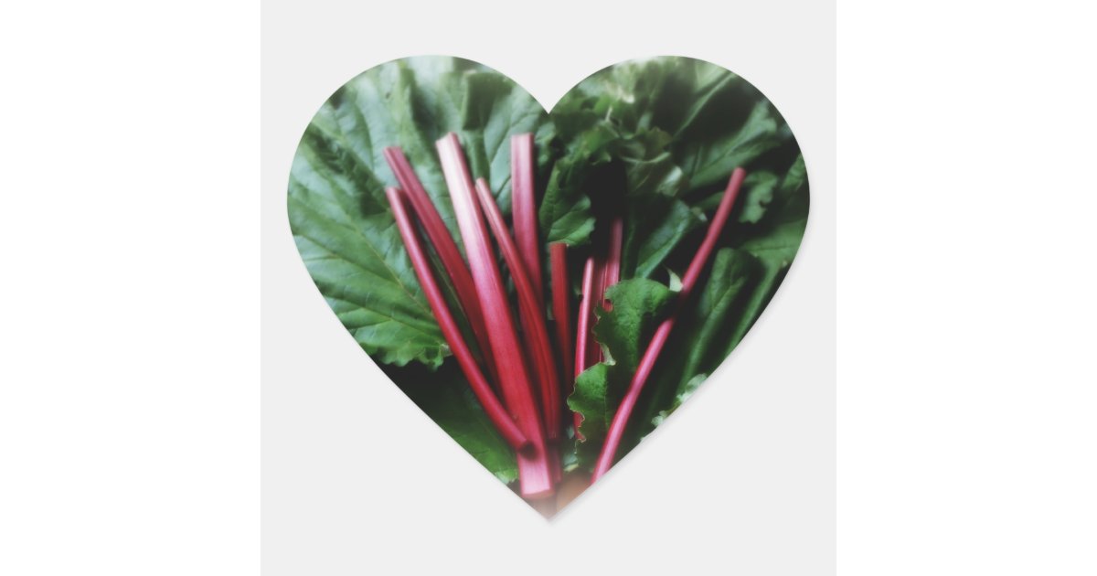 Fresh Rhubarb Stalks and Leaves Heart Sticker | Zazzle