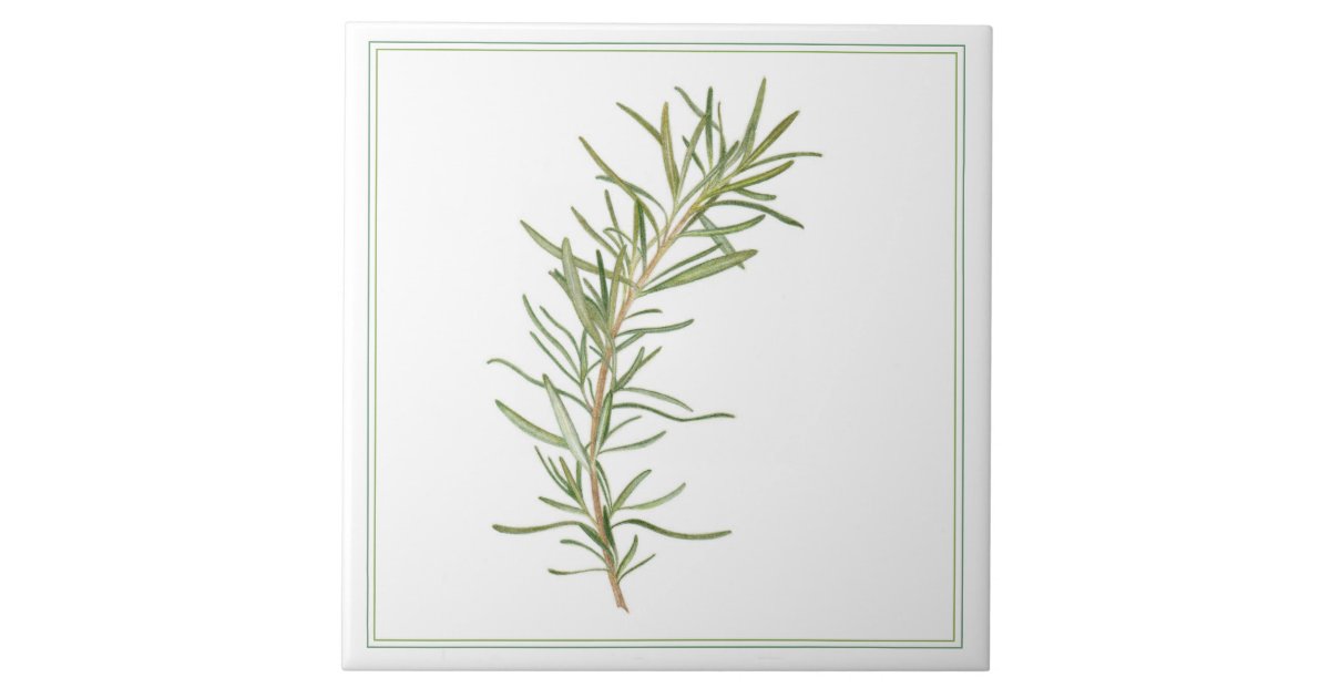 FRESH ROSEMARY 6x6 Ceramic Tile (-text) | Zazzle