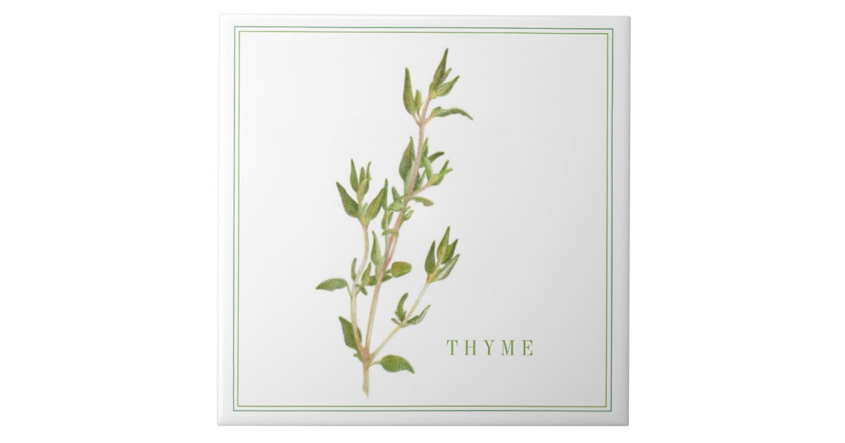 FRESH THYME 6x6 Ceramic Tile (+text) | Zazzle