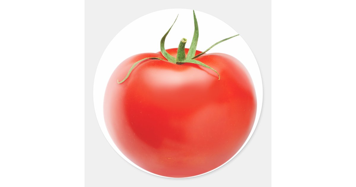 Fresh tomato classic round sticker | Zazzle