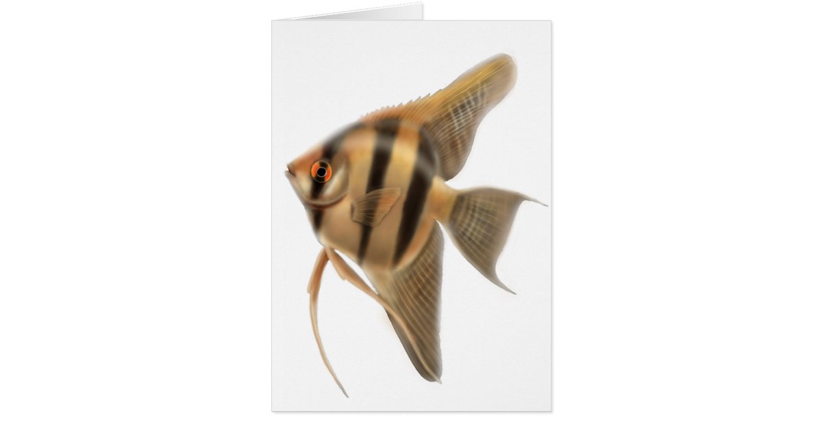Freshwater Angelfish Card | Zazzle