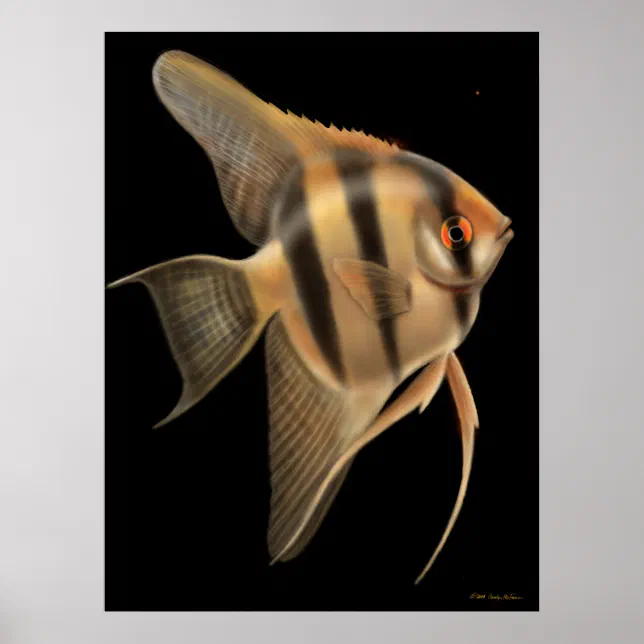 Freshwater Angelfish Poster | Zazzle