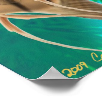 Freshwater Aquarium Fish Poster | Zazzle