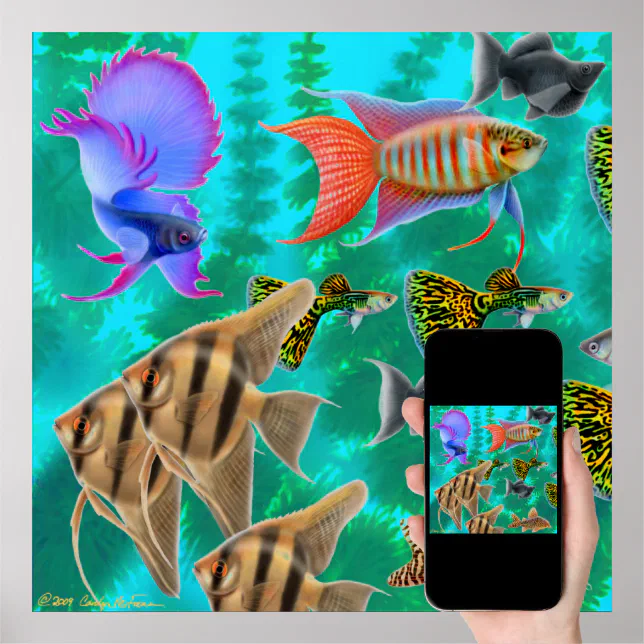 Freshwater Aquarium Fish Poster | Zazzle