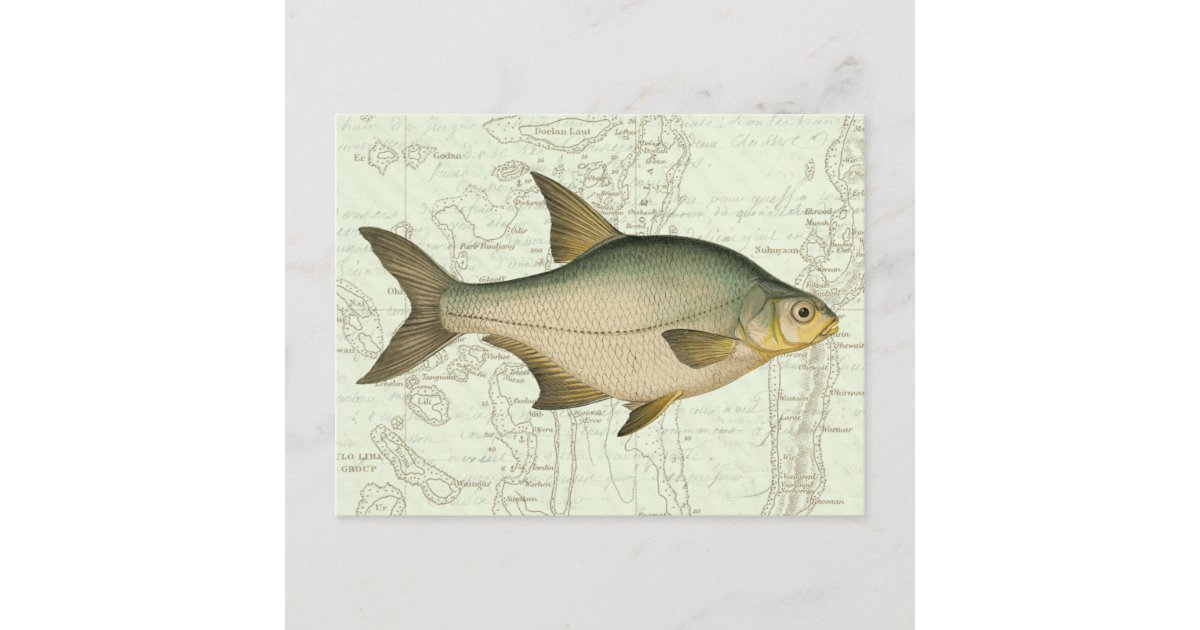 Freshwater Fish on Map Postcard | Zazzle