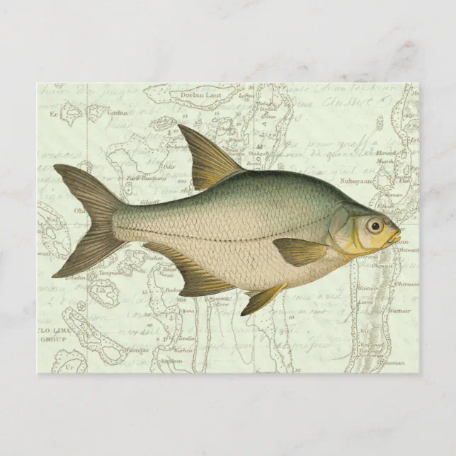 Freshwater Fish on Map Postcard | Zazzle