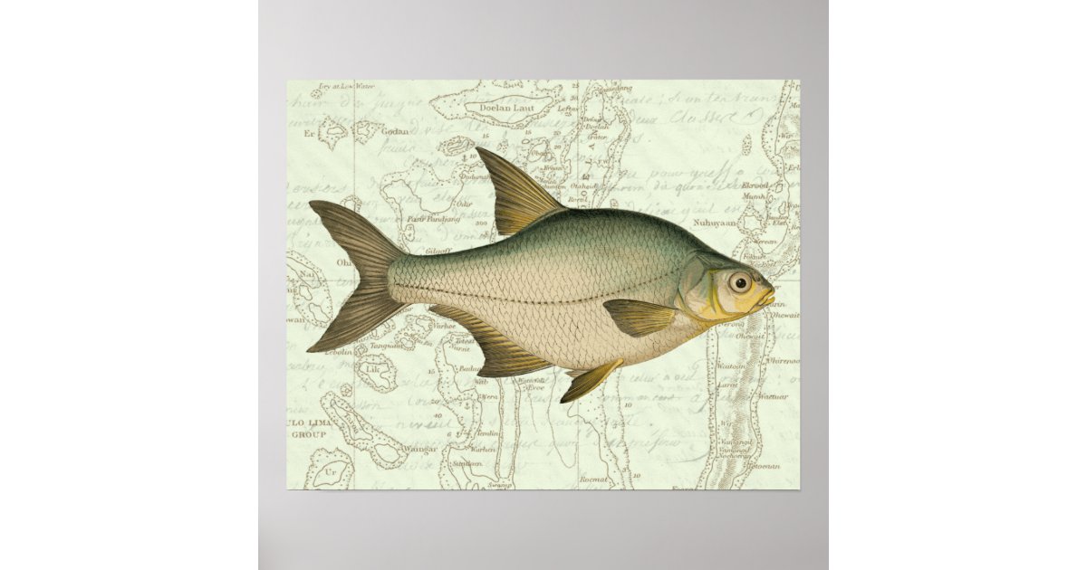 Freshwater Fish on Map Poster | Zazzle