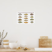 Freshwater Fish Poster | Zazzle