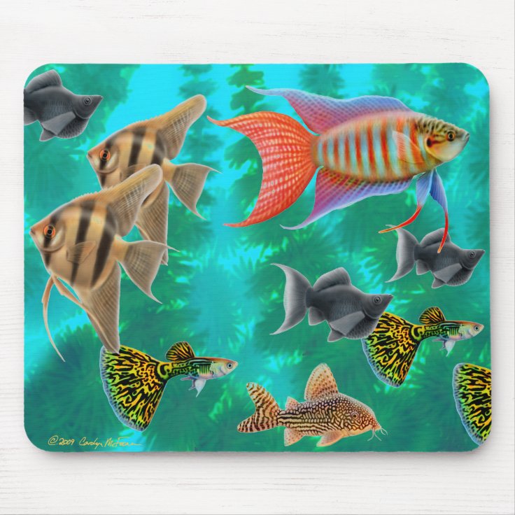 Freshwater Tropical Fish Mousepad | Zazzle