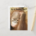 Friday Postcard | Zazzle