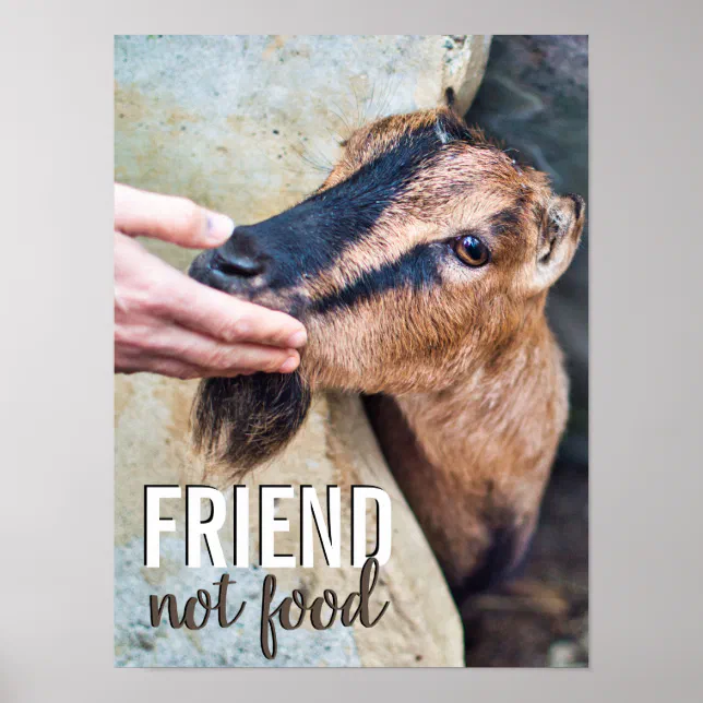Friend not food vegan stop animal cruelty w/ goat poster | Zazzle