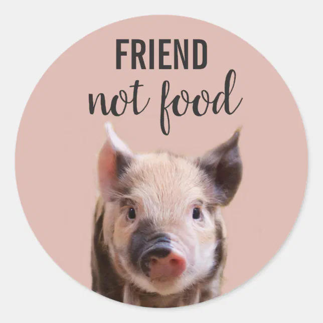 friend, not food with cute piglet vegan classic round sticker | Zazzle