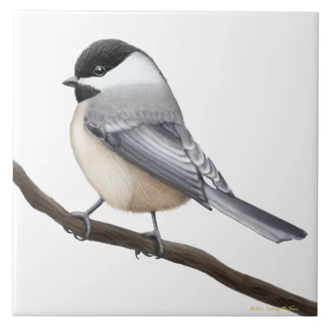 Friendly Black Capped Chickadee Bird Tile | Zazzle